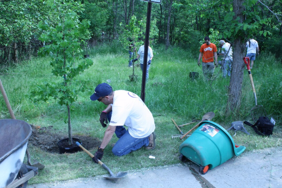 Mill Creek Watershed Upcoming Tree Planting | Mill Creek Partnership